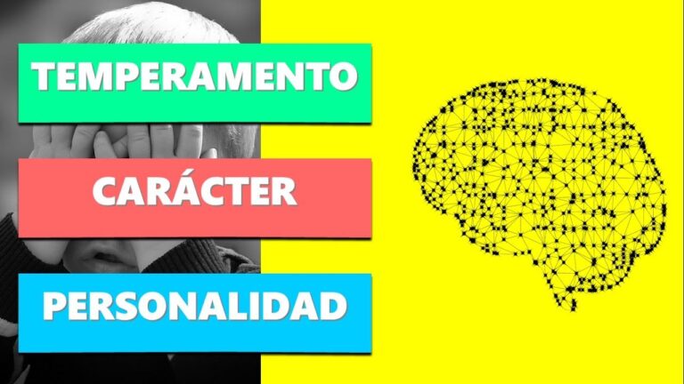 Diferencia entre temperamento y carácter
