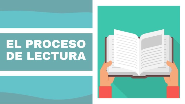 Etapas del proceso de lectura