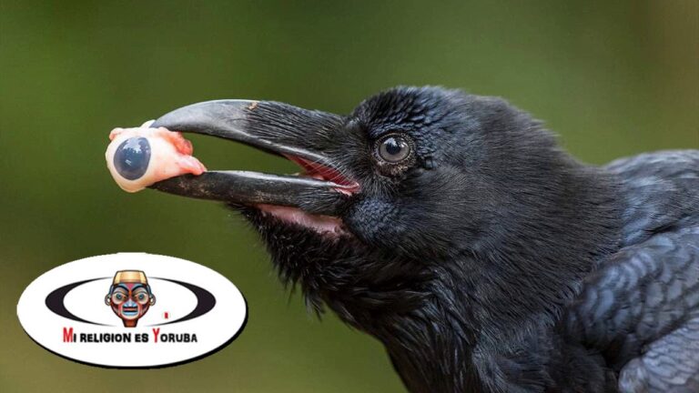 Interpretación del refrán "cría cuervos y te sacarán los ojos