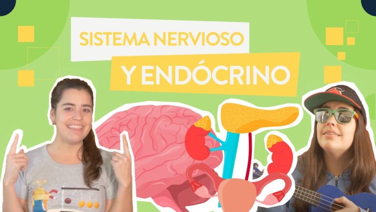 Relación entre sistema nervioso y endocrino